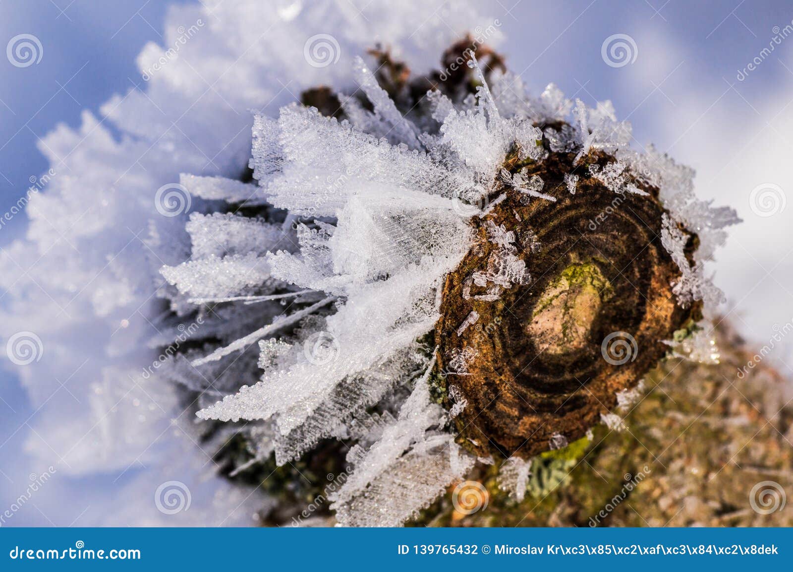 Frost on Wood stock photo. Image of icing, nature, wood - 139765432