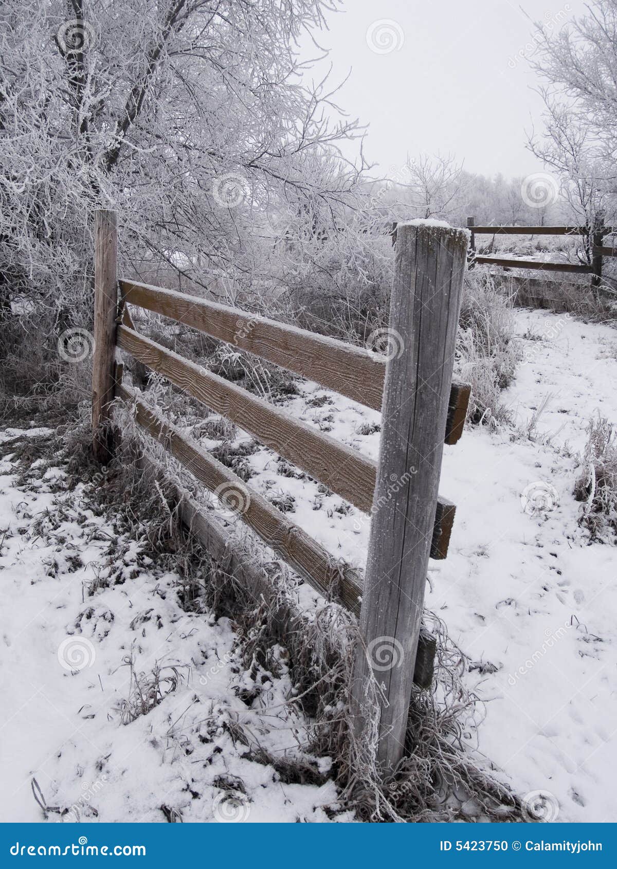 Frosted Fences stock photo. Image of farm, farming, snow - 5423750