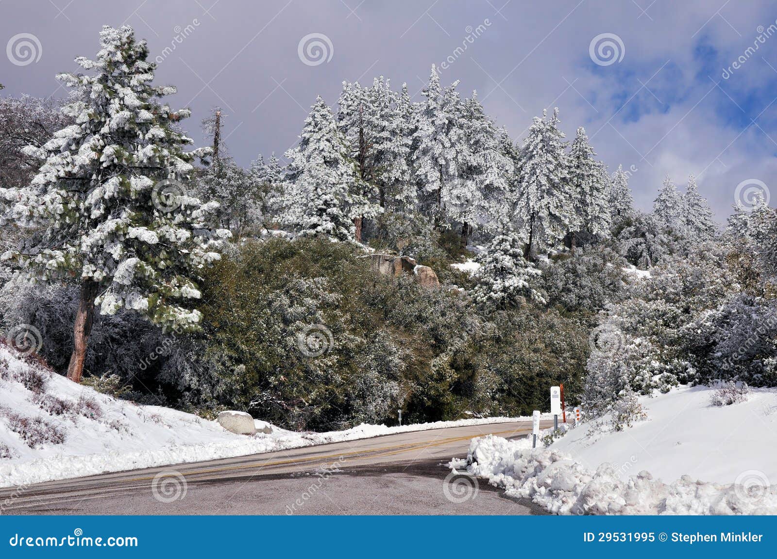 Frosted Forest stock image. Image of frosted, environmental - 29531995