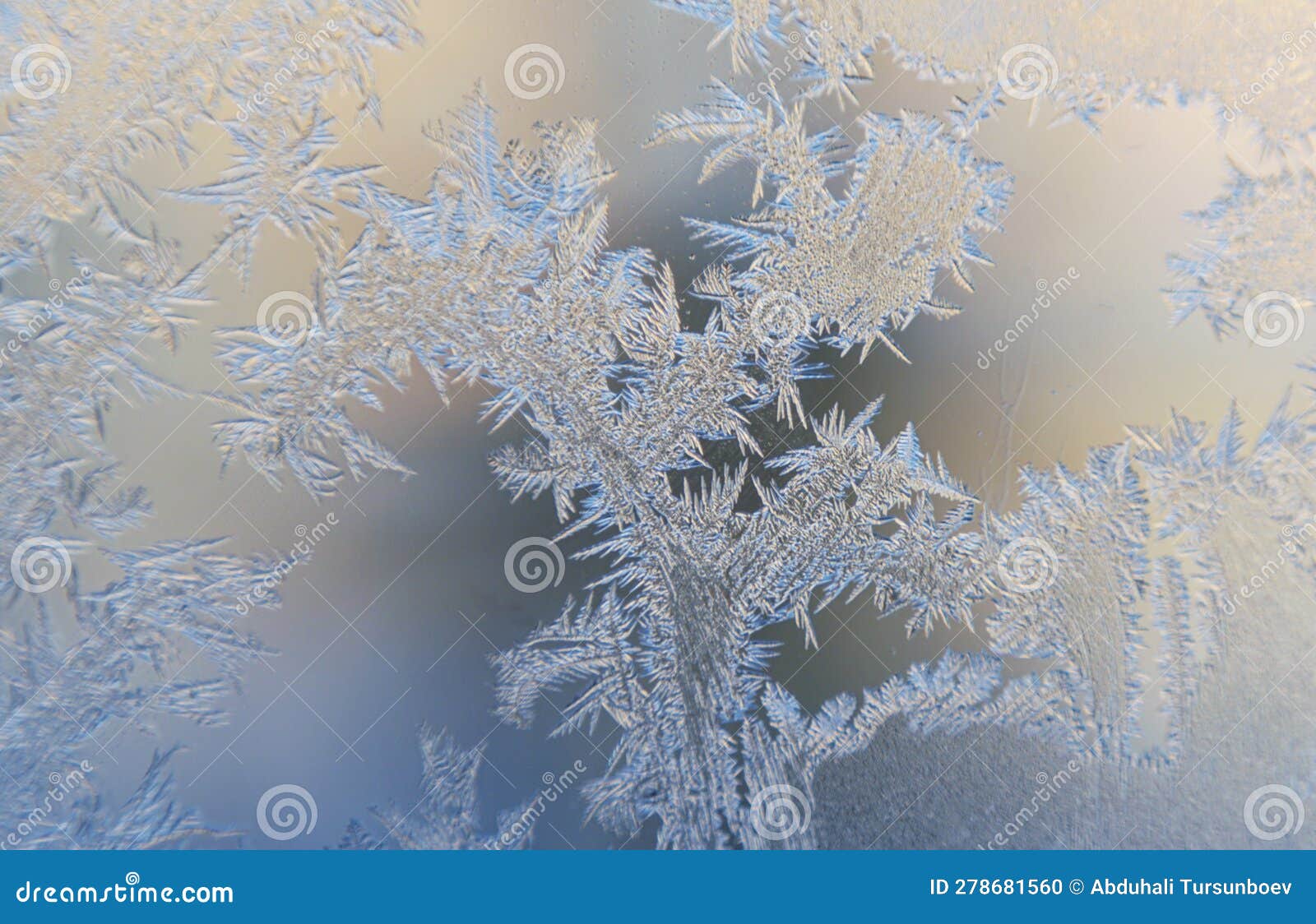 Frosted glass texture stock photo. Image of season, freeze - 278681560