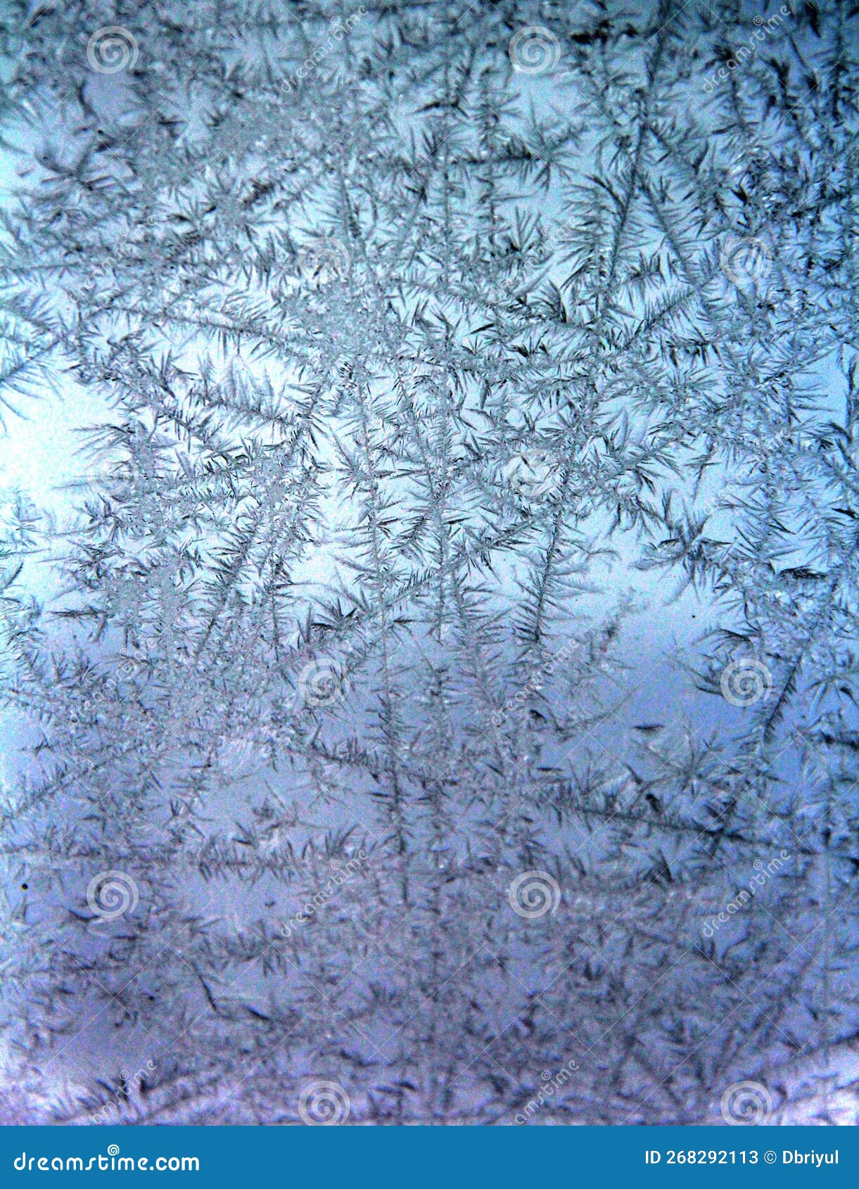 Frosted Ice Patterns on Exterior Window Pane Stock Image - Image of ...