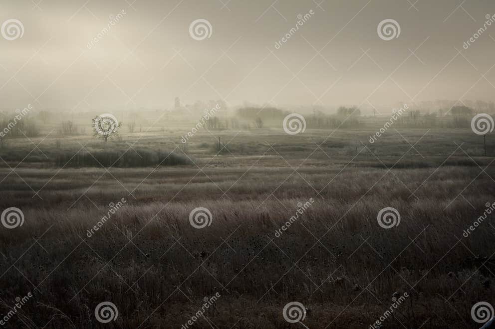 Frosted Morning stock photo. Image of plains, trees, nature - 24997488