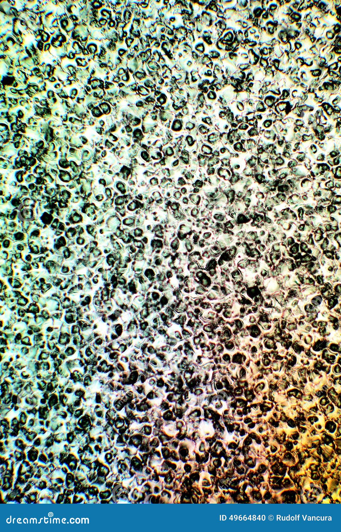Frosted Plastic stock photo. Image of microscope, abstract - 49664840