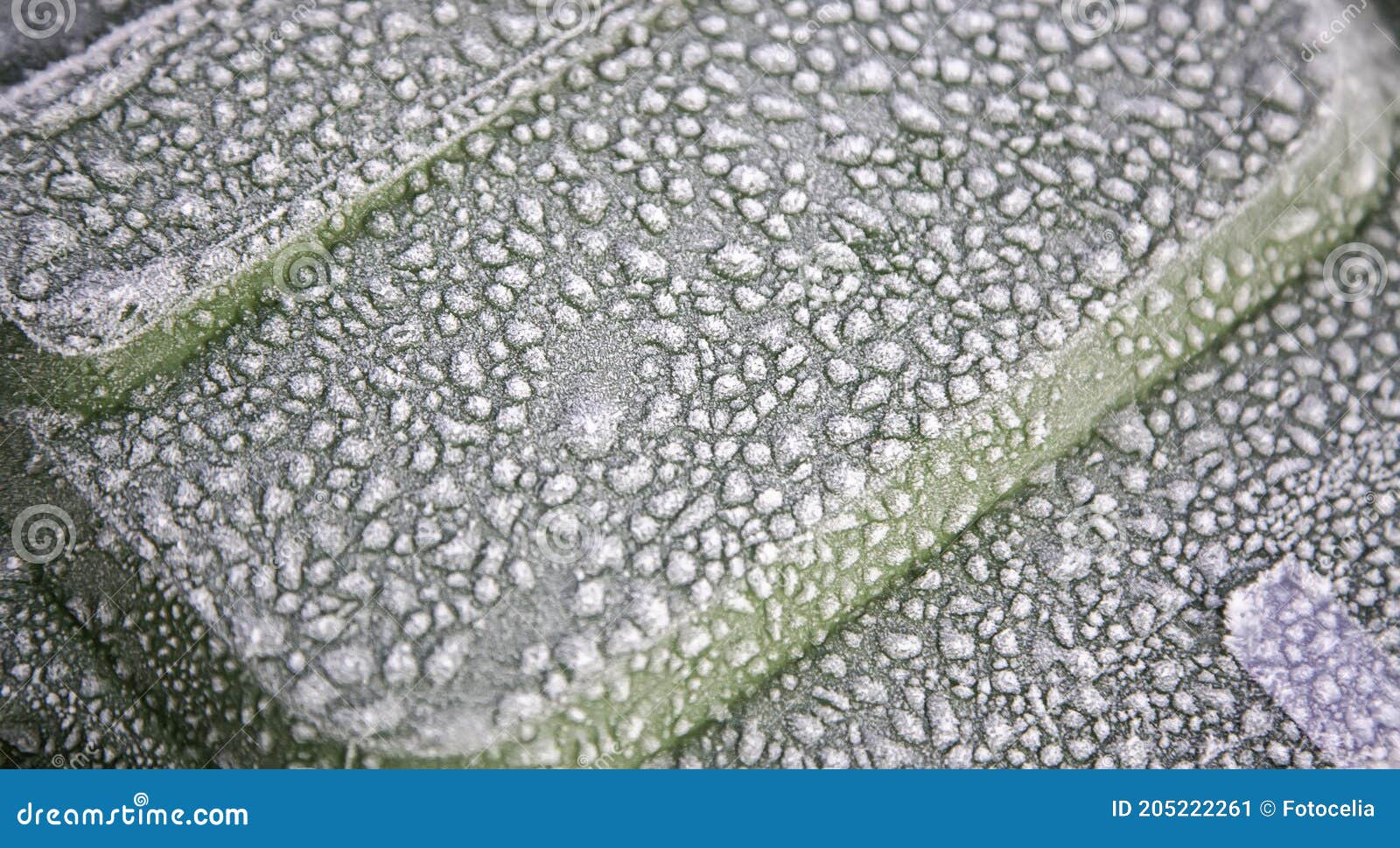 Frosted plastic texture stock image. Image of glass - 205222261