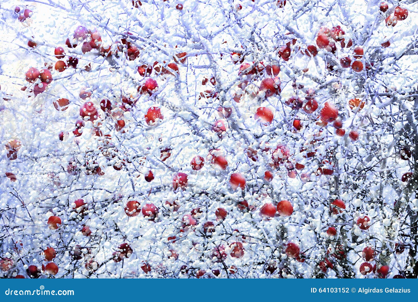 Frosted Red Apples in Winter Stock Photo - Image of december, crystal ...