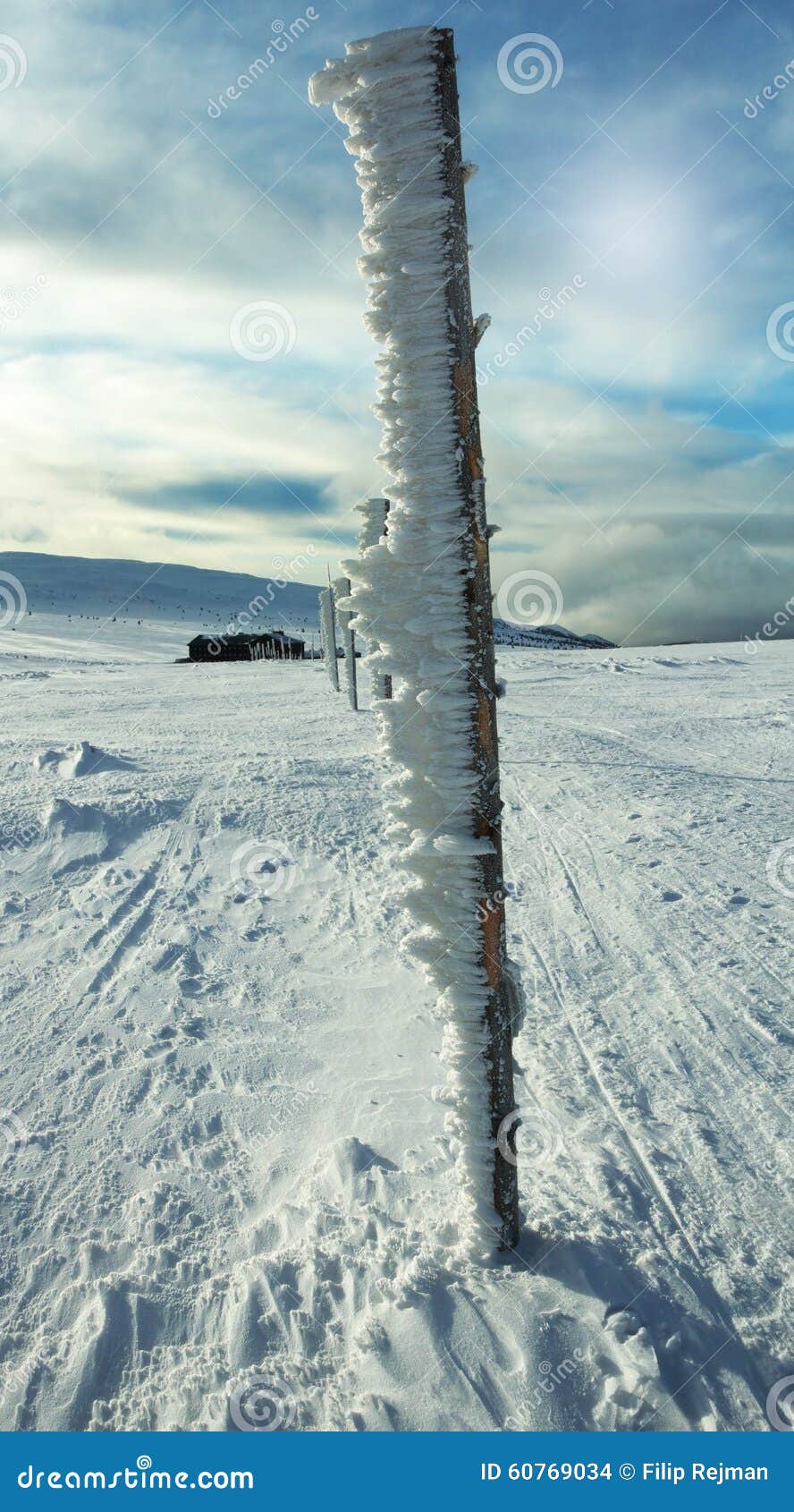 Frosted Snow Stick stock photo. Image of conditions, plane - 60769034