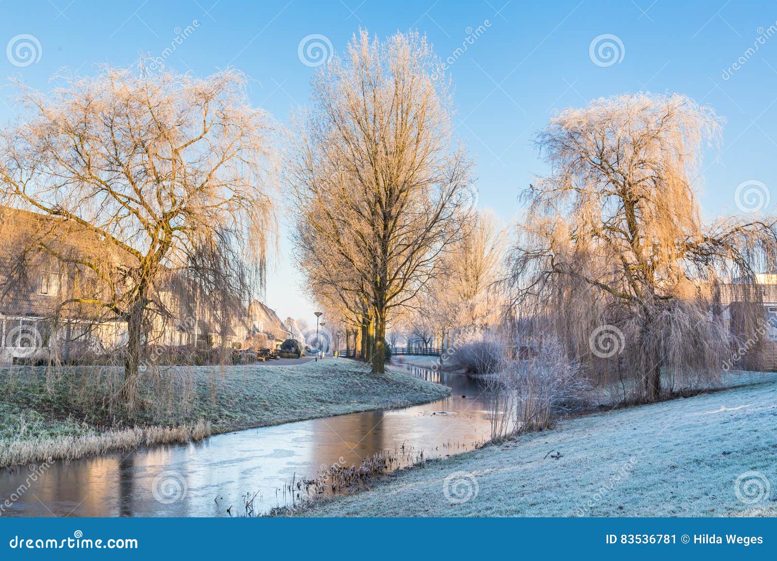 Frosted trees landscape stock image. Image of outdoors - 83536781