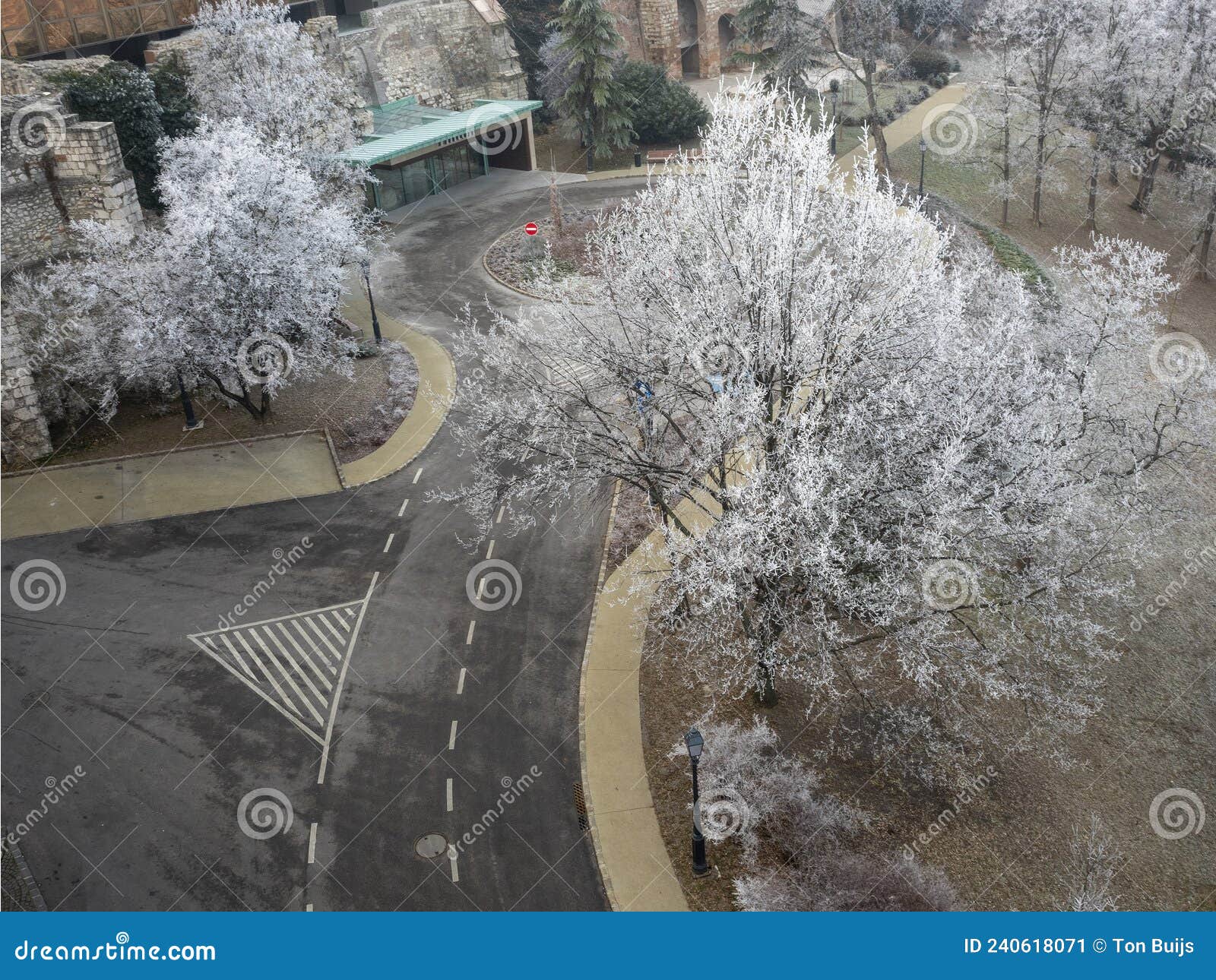 Frosted Trees in the Winter Stock Image - Image of frosted, trees ...