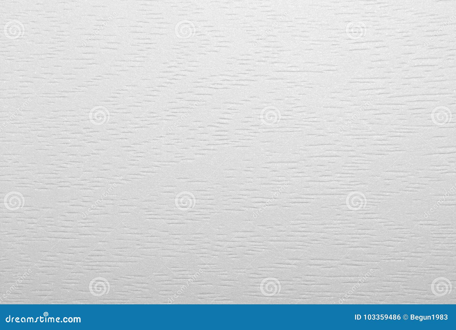 White Matte Paper Texture