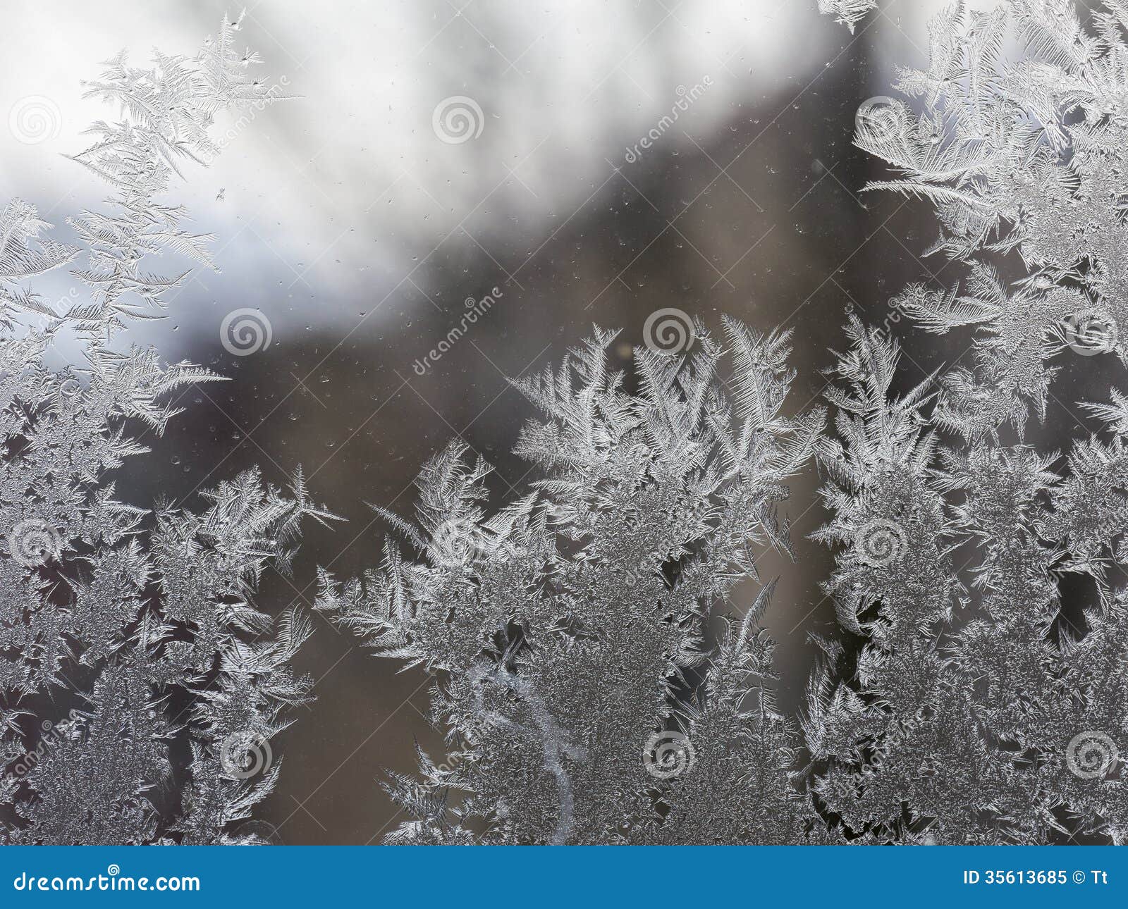 Frosted windows stock image. Image of beauty, pattern - 35613685