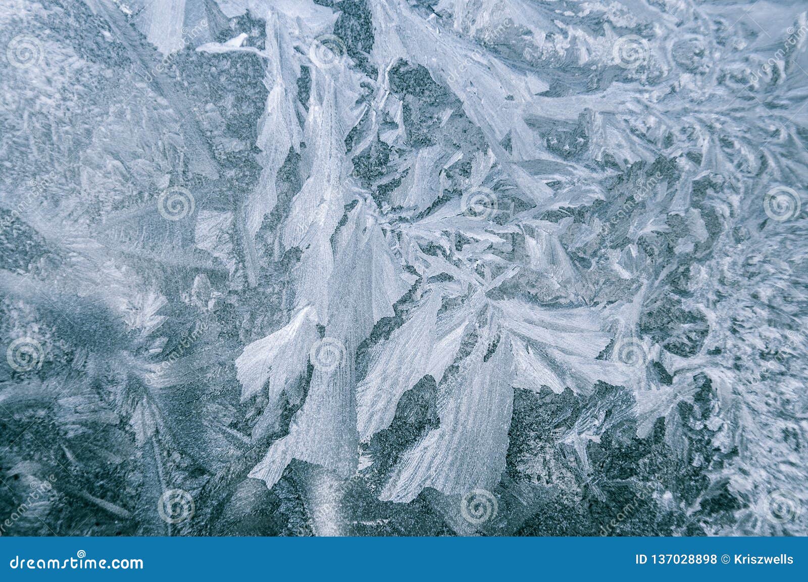 Frostwork Op Het Venster Met Aardige Kleuren Stock Foto - Image of ...