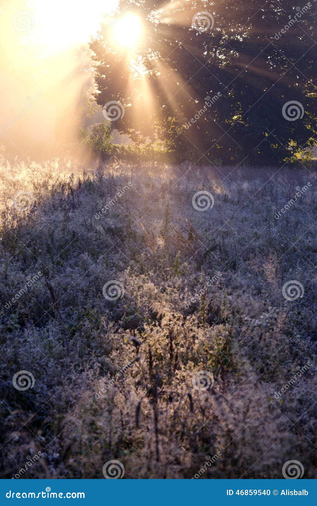 Frosty Autumn Time Meadow and Beautiful Sunrise Light Stock Photo ...