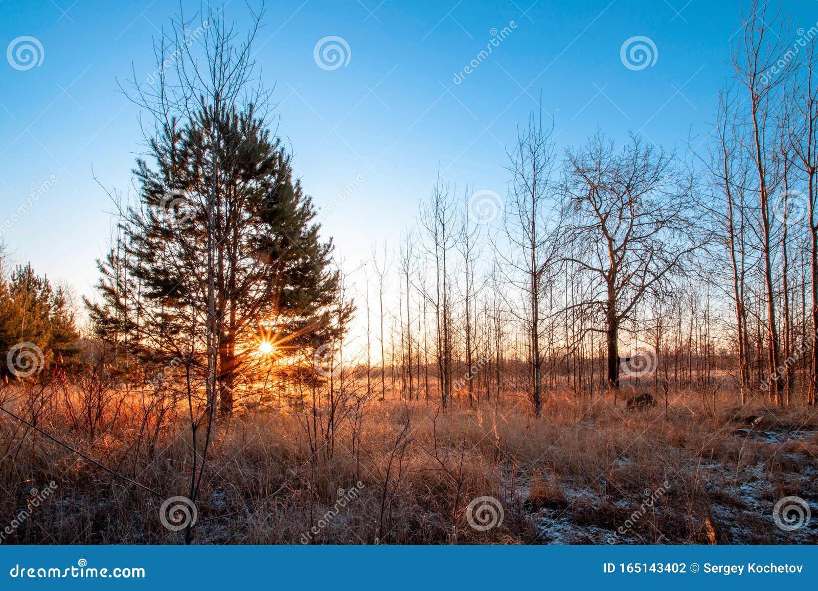 Frosty Autumnal Morning Nature Scene with Trees Stock Photo - Image of ...