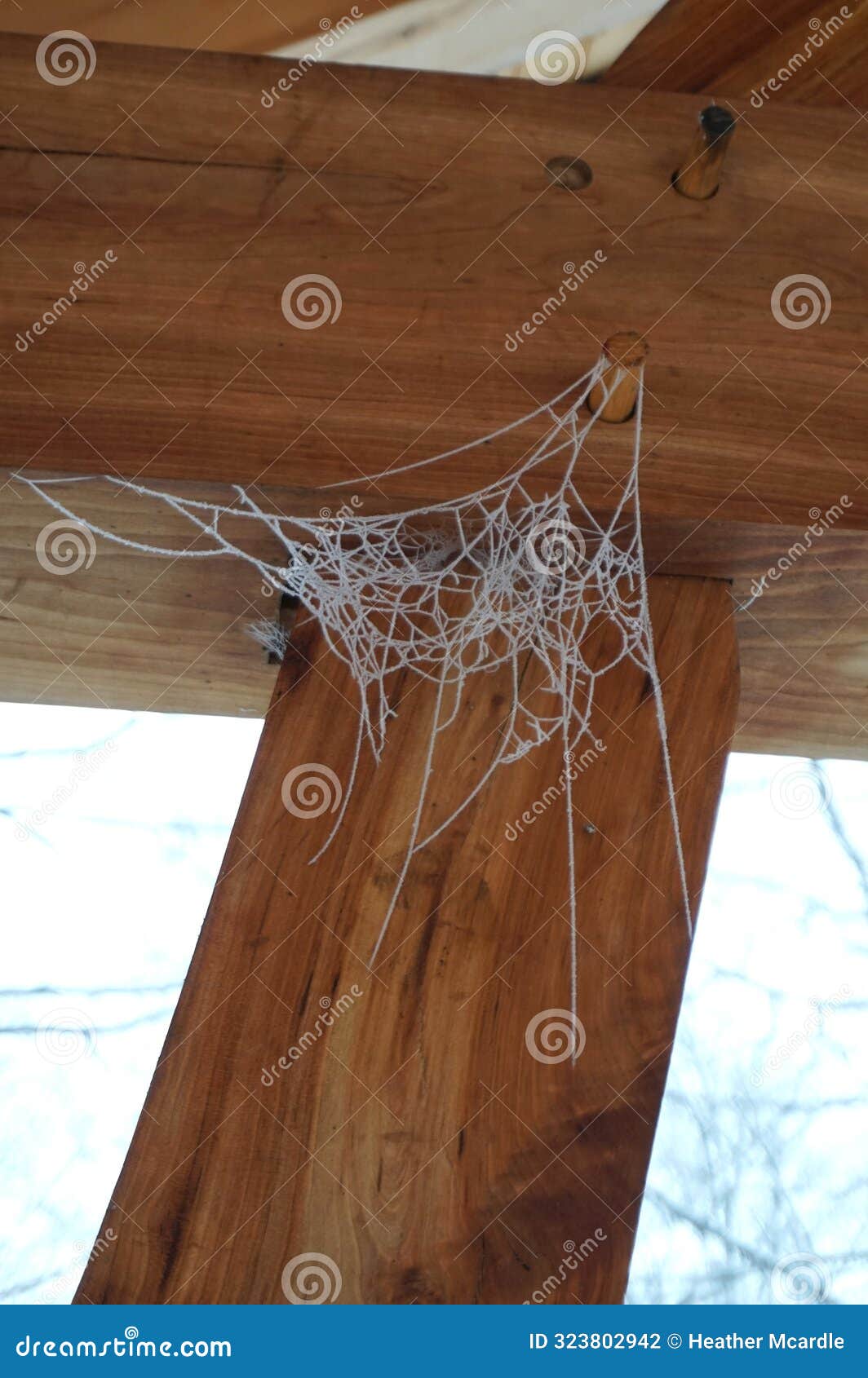 Frosty Cobweb Hanging from High End Lumber Structure Stock Photo ...
