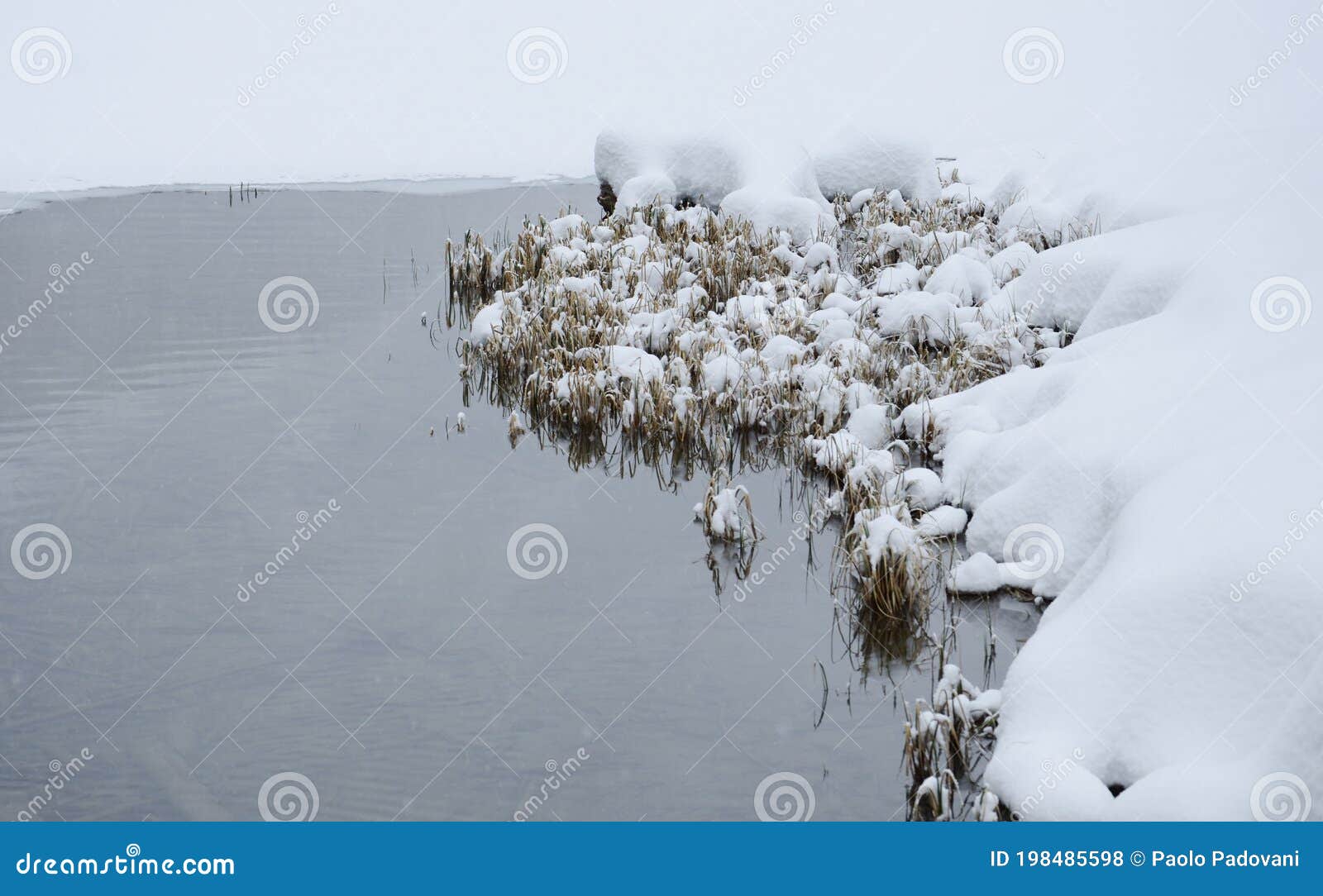 Frosty corner stock photo. Image of alps, creek, frozen - 198485598