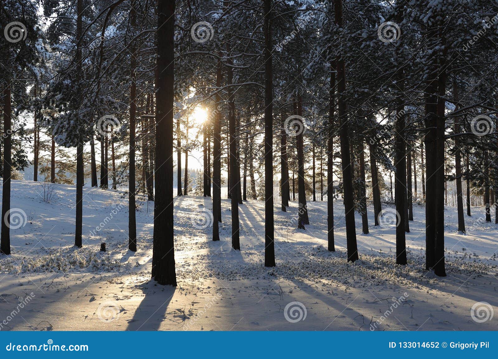 Frosty day stock photo. Image of snow, cold, europe - 133014652