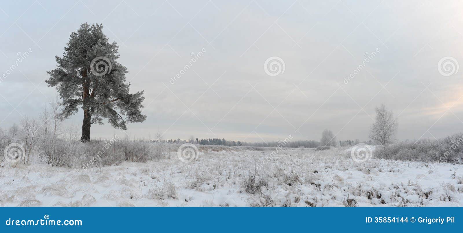Frosty day stock photo. Image of christmas, panorama - 35854144