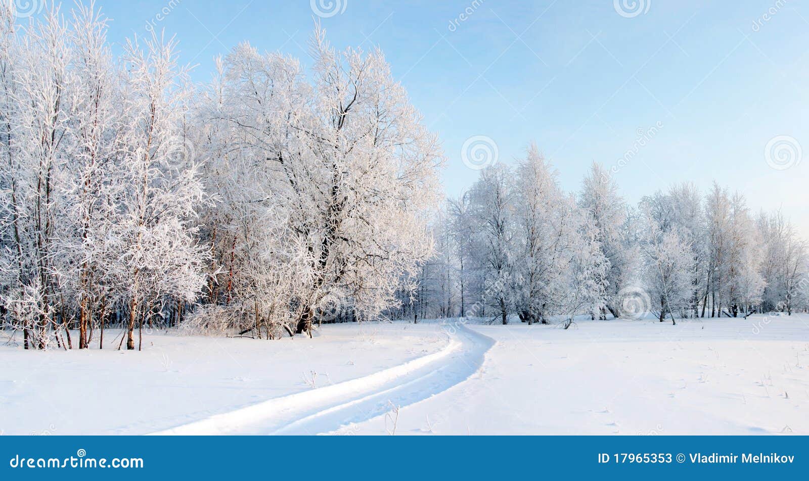 Frosty day in forest stock image. Image of beautiful - 17965353