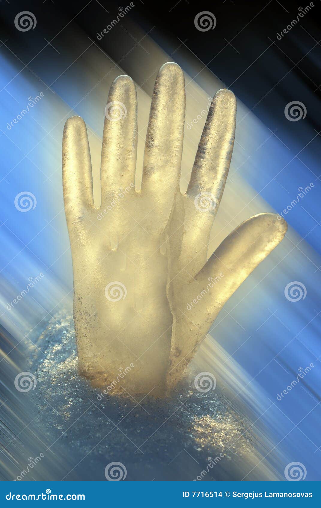 Frosty dreams stock photo. Image of frozen, snow, frosty - 7716514