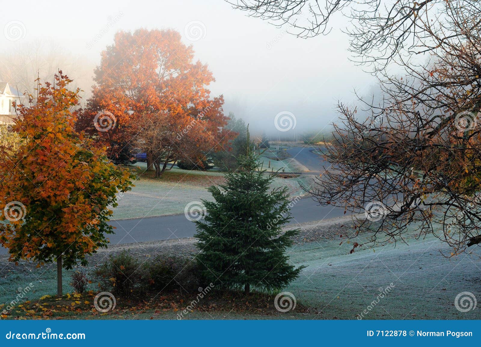 Frosty Fall Morning stock photo. Image of foggy, mist - 7122878
