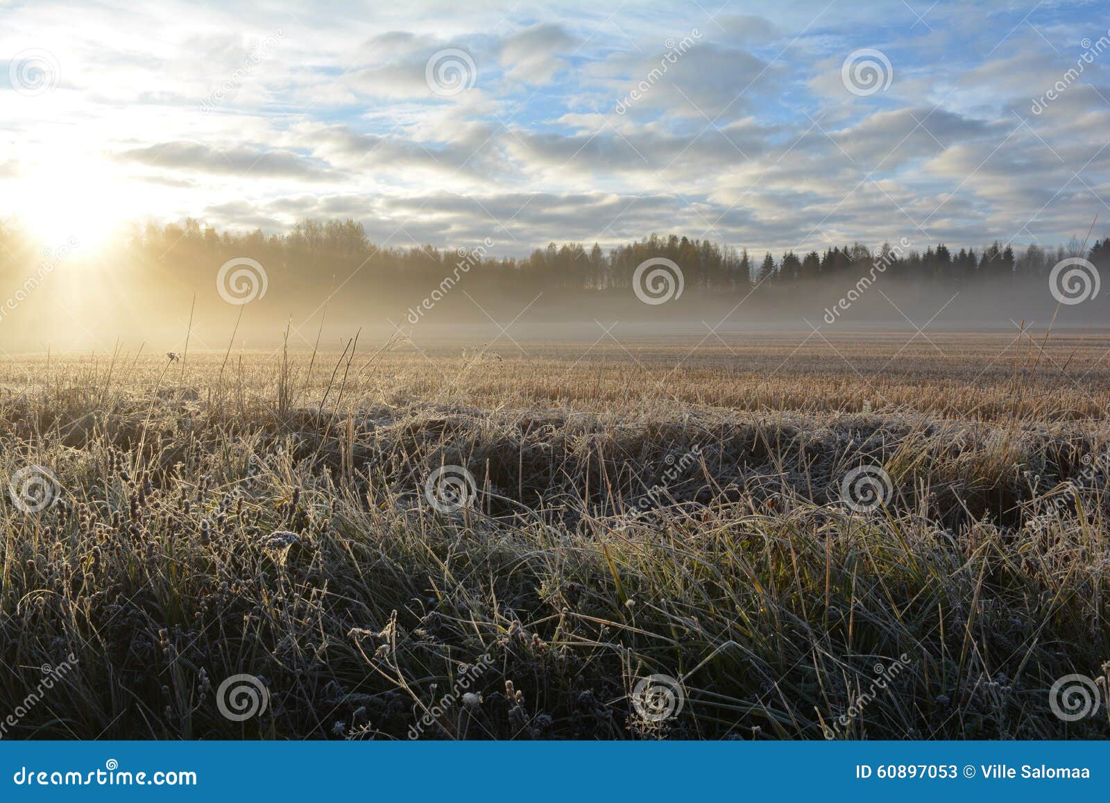 Frosty field stock image. Image of warms, frosty, field - 60897053