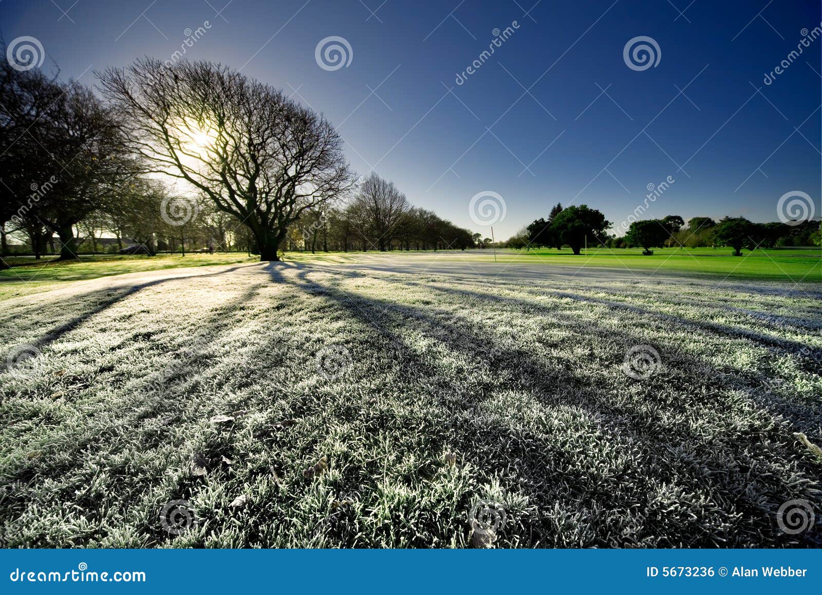 Frosty grass stock photo. Image of grass, field, winter - 5673236