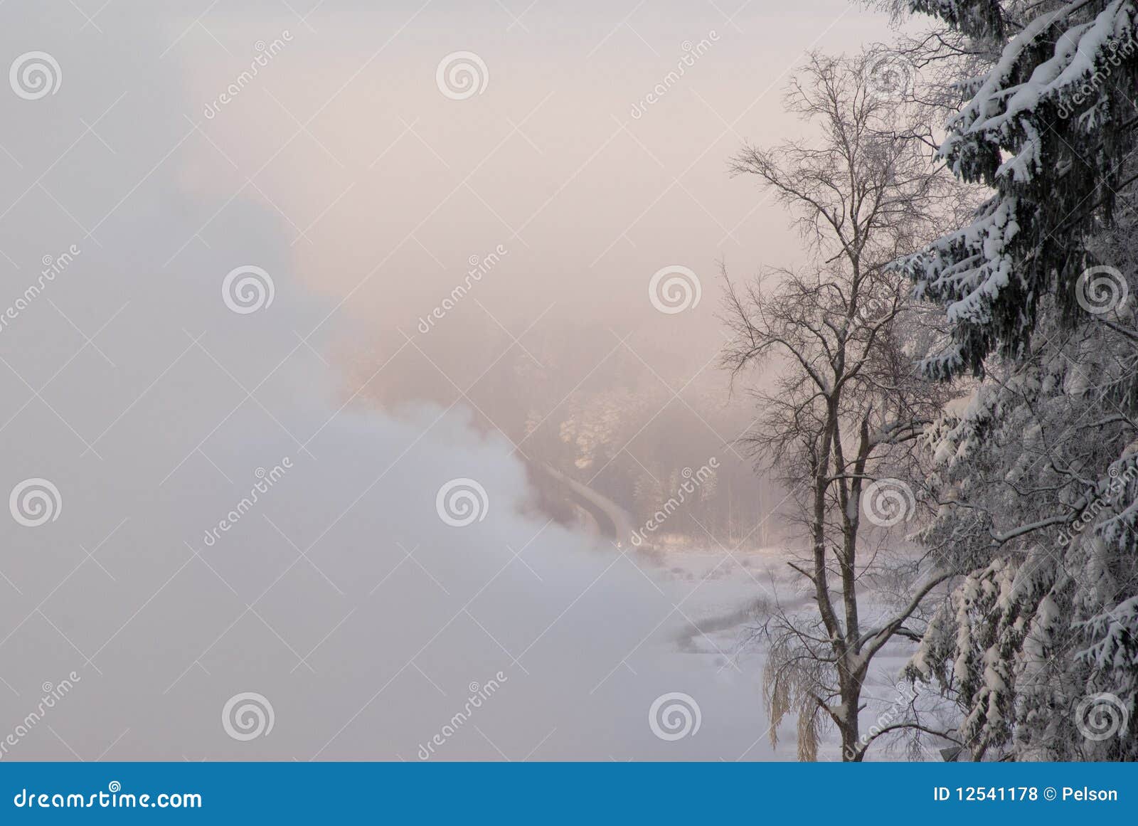 Frosty mist stock photo. Image of branches, february - 12541178