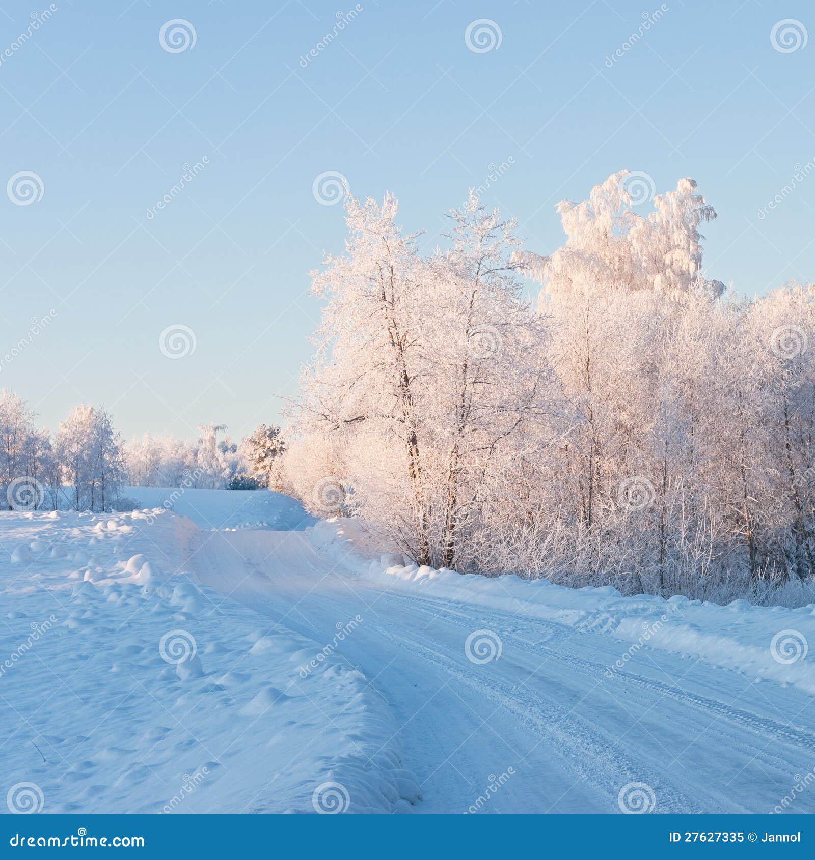 Frosty morning stock image. Image of winter, snowdrift - 27627335