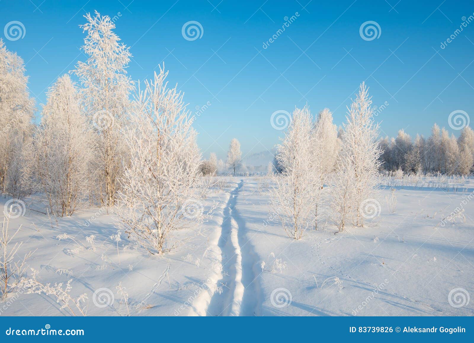 Frosty morning stock photo. Image of landscape, temperature - 83739826