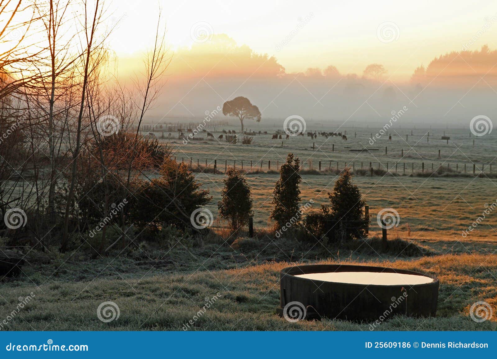 Frosty morning on farm stock photo. Image of farmland - 25609186
