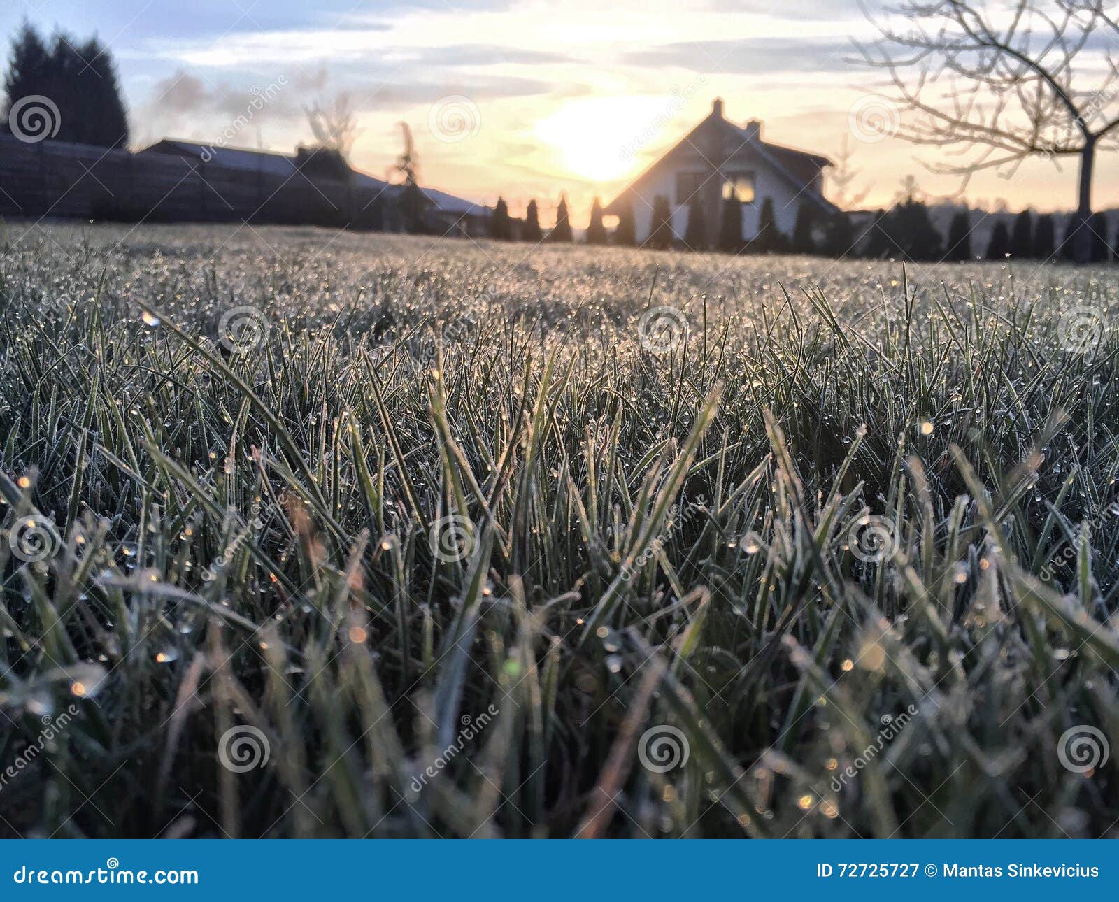 Frosty morning grass stock image. Image of beauty, nature - 72725727