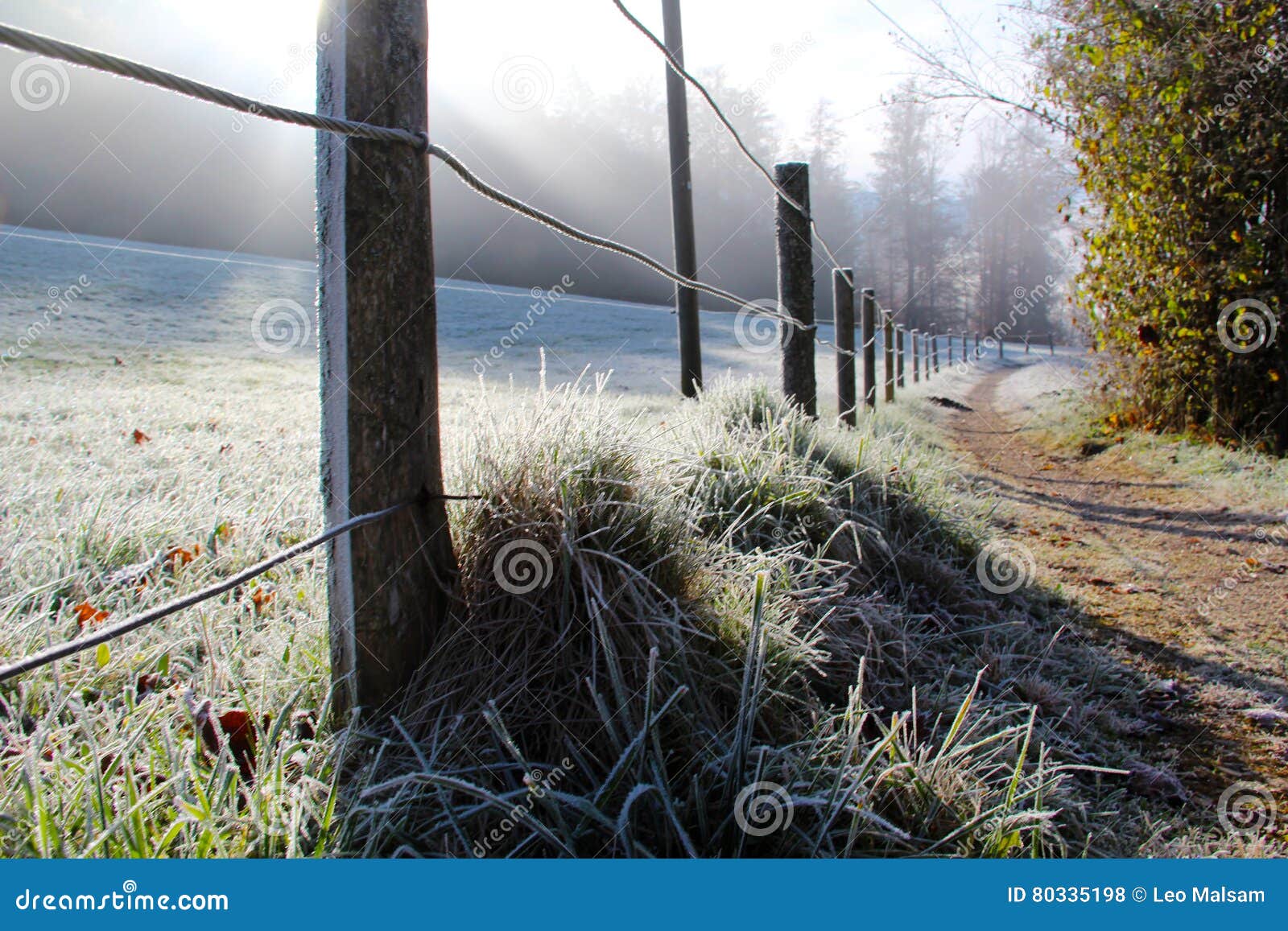 Frosty Morning in the Mountains Stock Photo - Image of landscape, fall ...