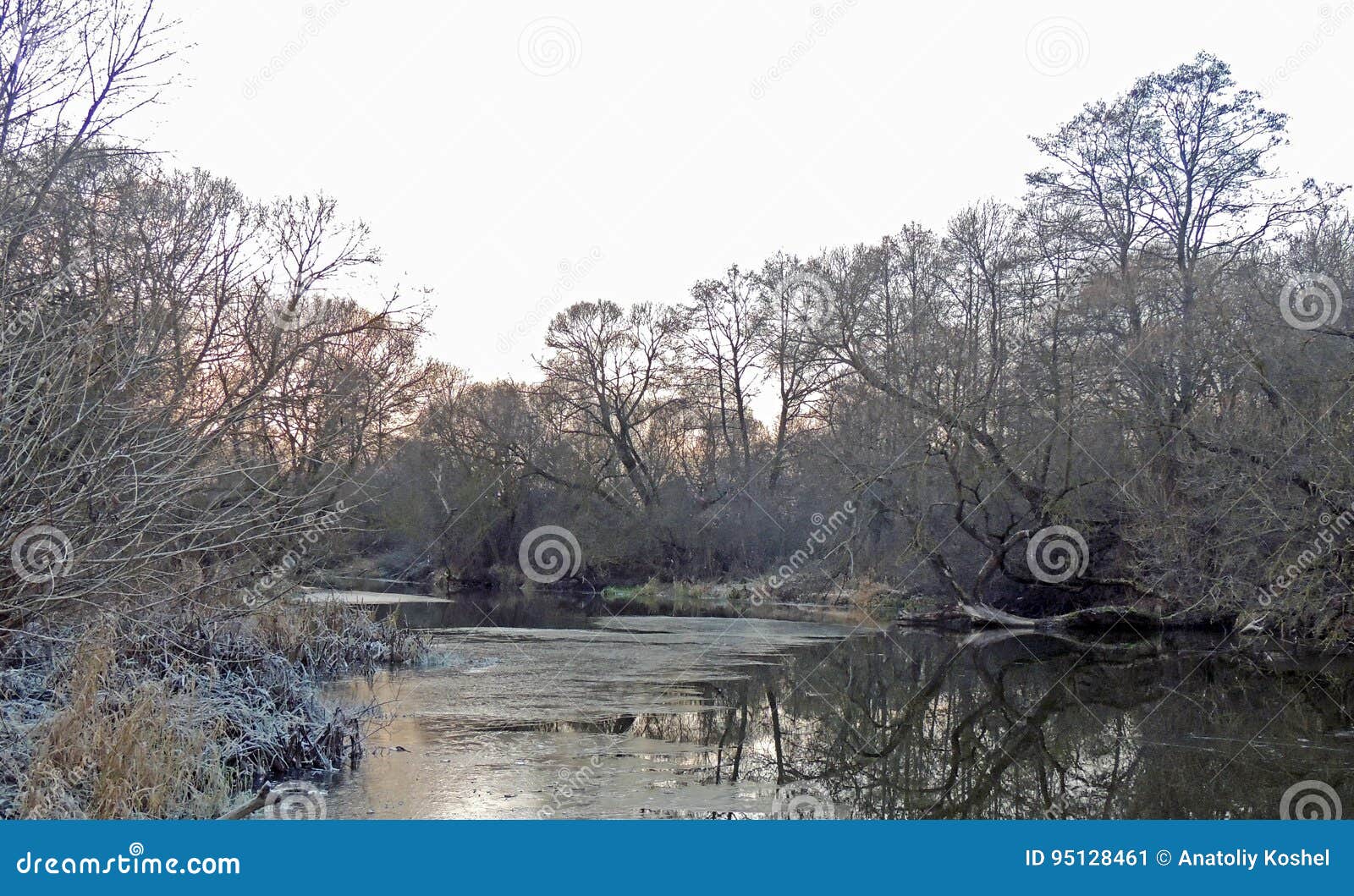 Frosty Morning in November. Late Fall . River Stock Image - Image of ...