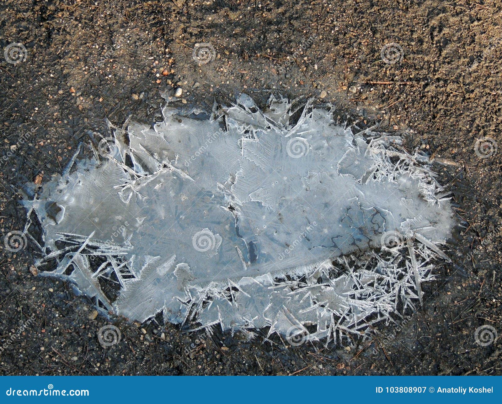Frosty Morning. a Small Frozen Puddle. a Pattern of Ice Crystals Stock ...