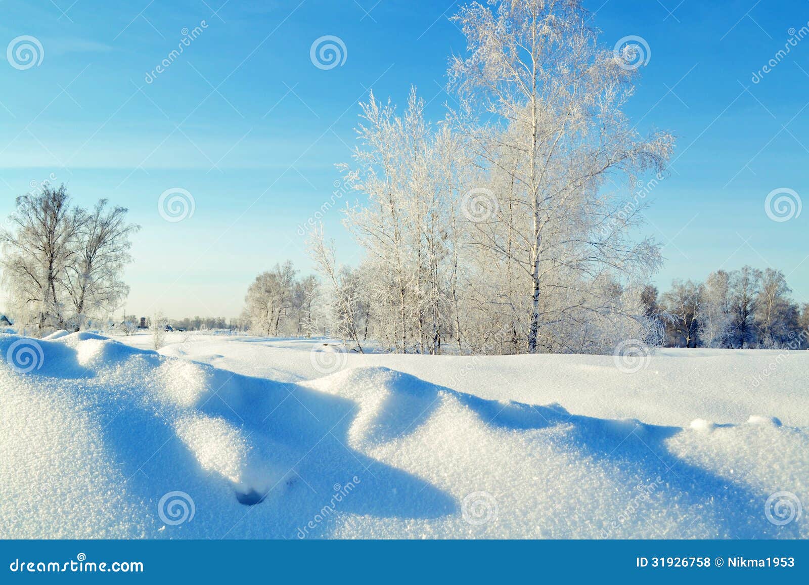 Frosty morning stock photo. Image of winter, beams, slanting - 31926758