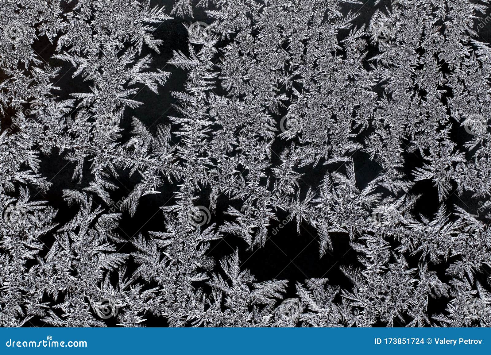 Beautiful Frosty Patterns on the Winter Window, Texture of Frosty ...