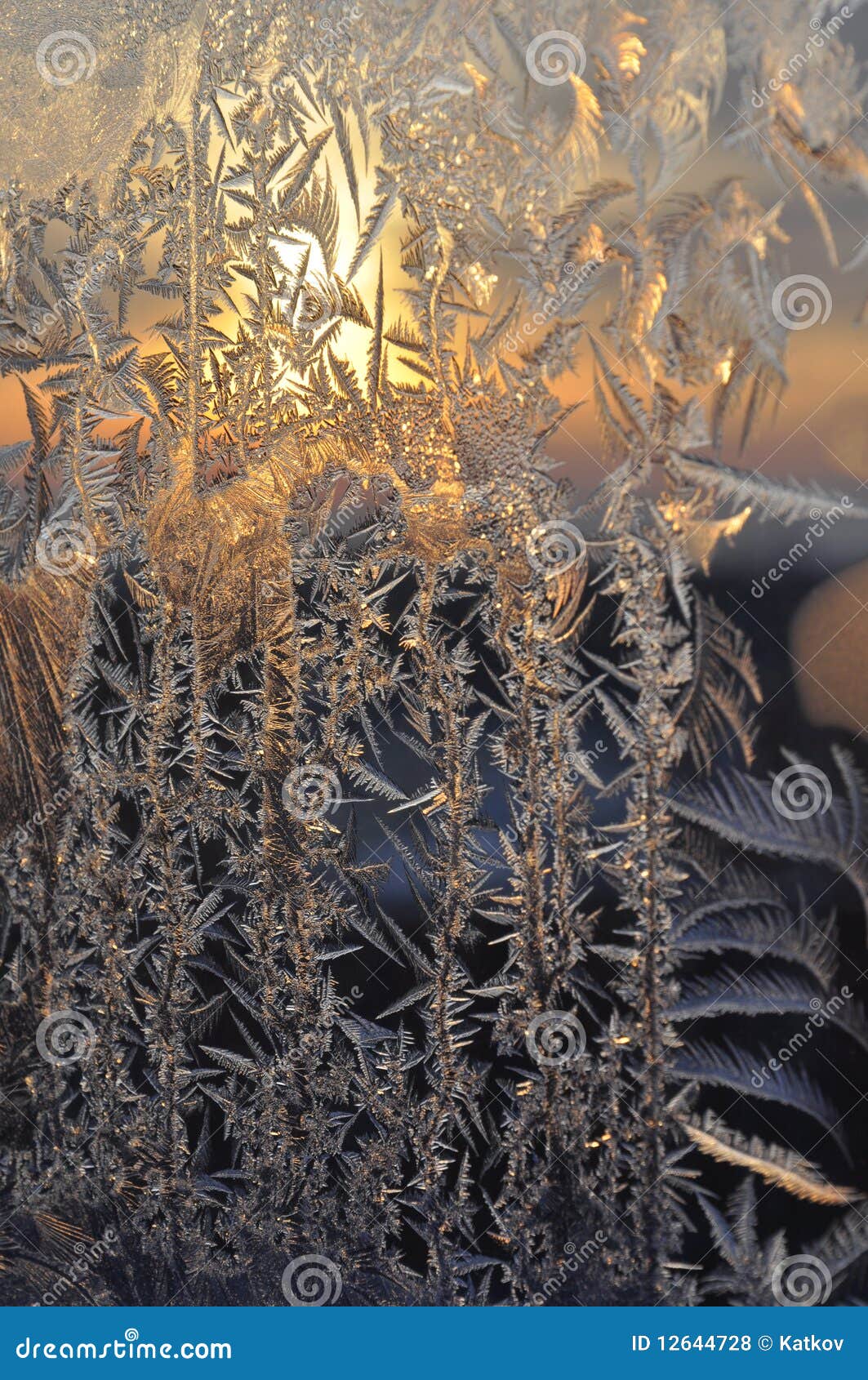 Frosty pattern stock photo. Image of freeze, macro, crystallization ...