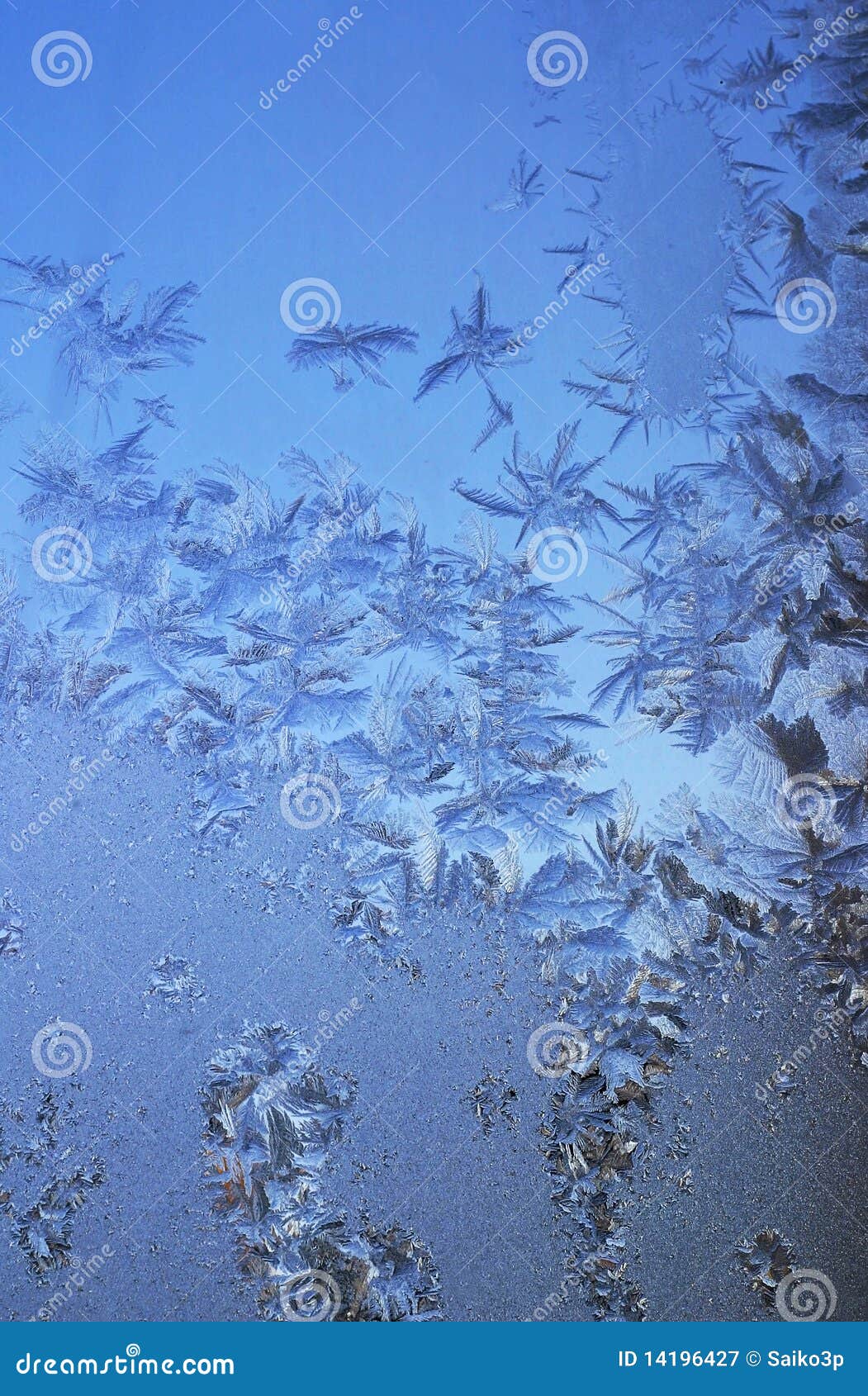 Frosty pattern stock image. Image of natural, brightly - 14196427