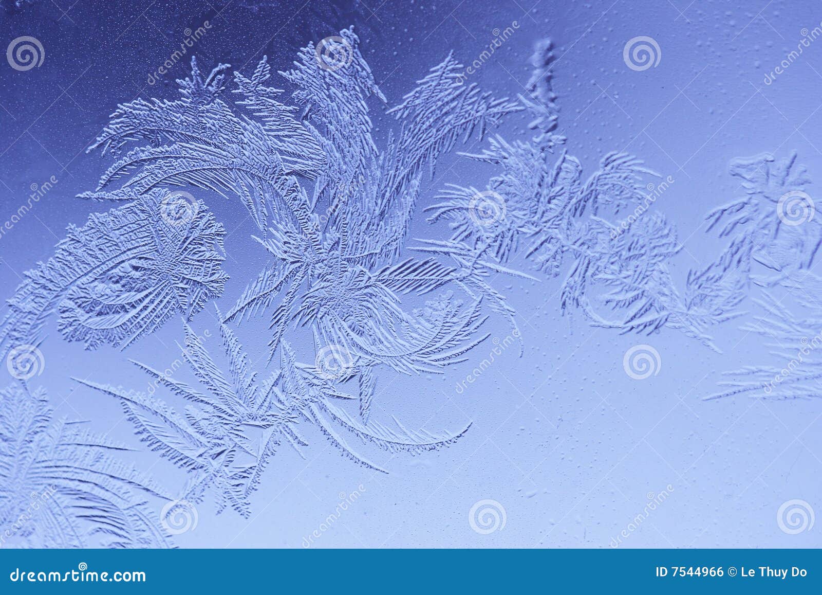 Frosty pattern stock photo. Image of design, card, surreal - 7544966