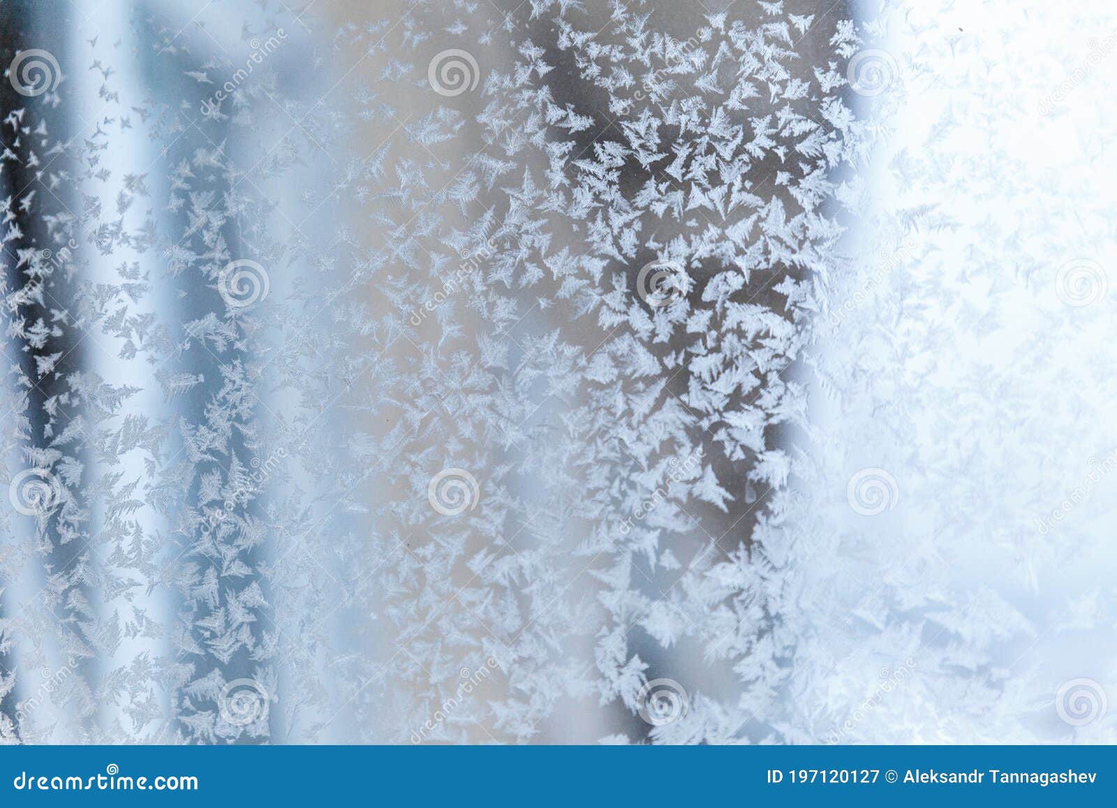 Frosty Pattern on the Glass. the Figure is Made of Cold Air Stock Image ...