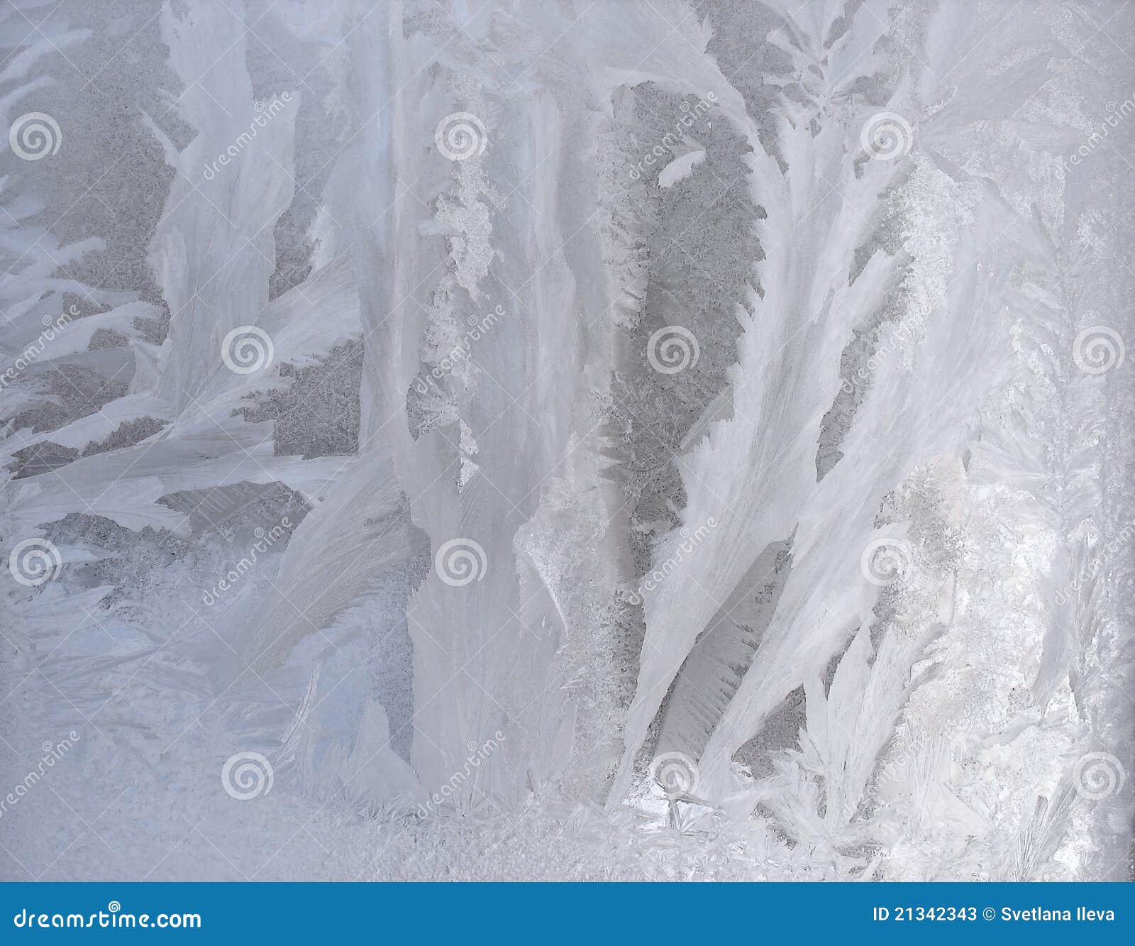 Frosty Pattern on Pane - Silver Ice Texture Stock Image - Image of ...