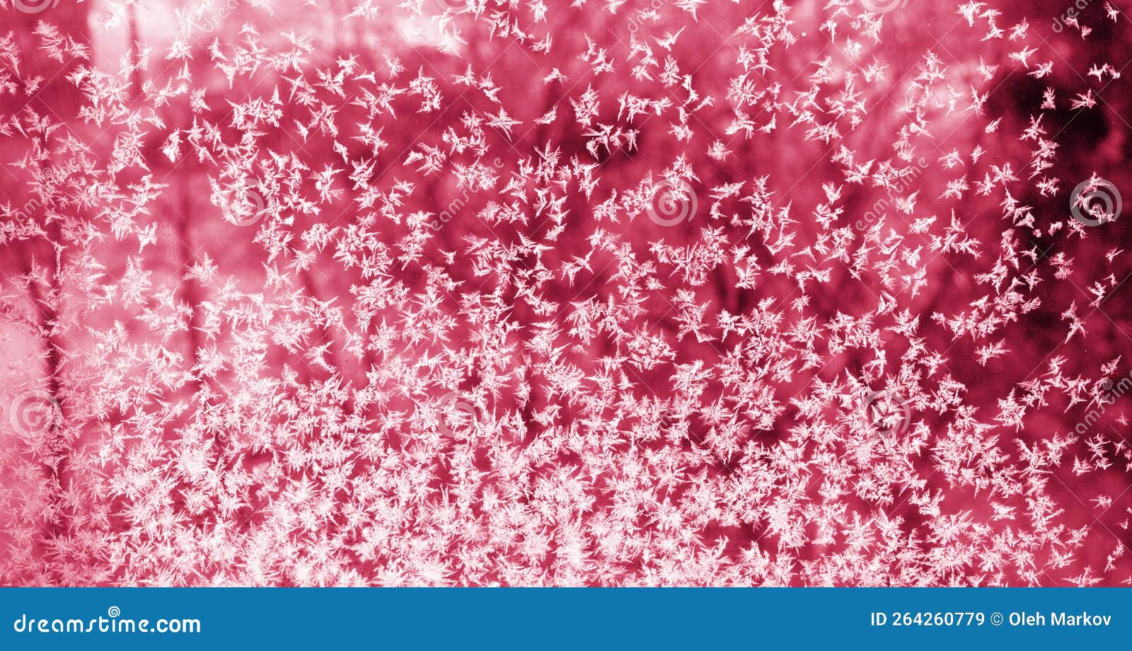 Frosty Pattern on the Window Colored in Trendy Color 2023 Viva Magenta ...