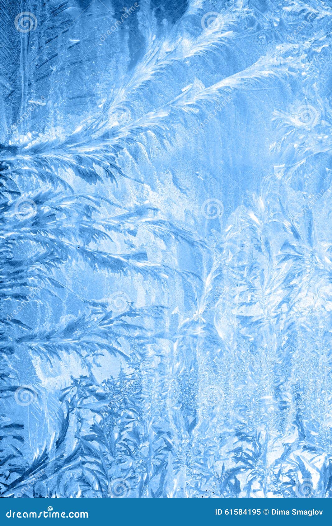Frosty Pattern on Window in Winter Season Stock Image - Image of ...