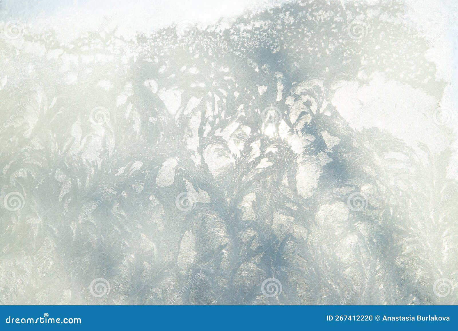 Frosty Patterns and Tree Shadow on Window. Rime Ice Snow on Window Full ...