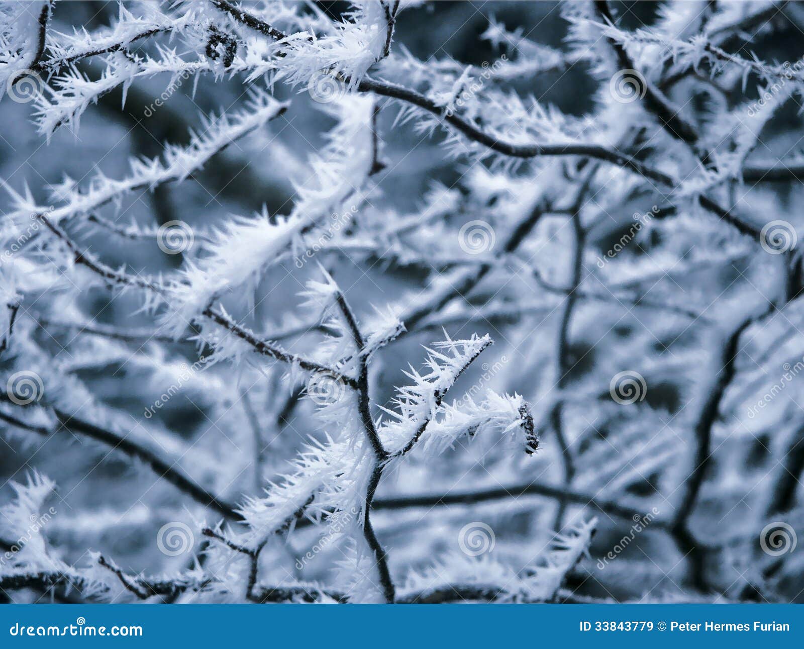Frosty Rime stock image. Image of sharp, covered, crystal - 33843779