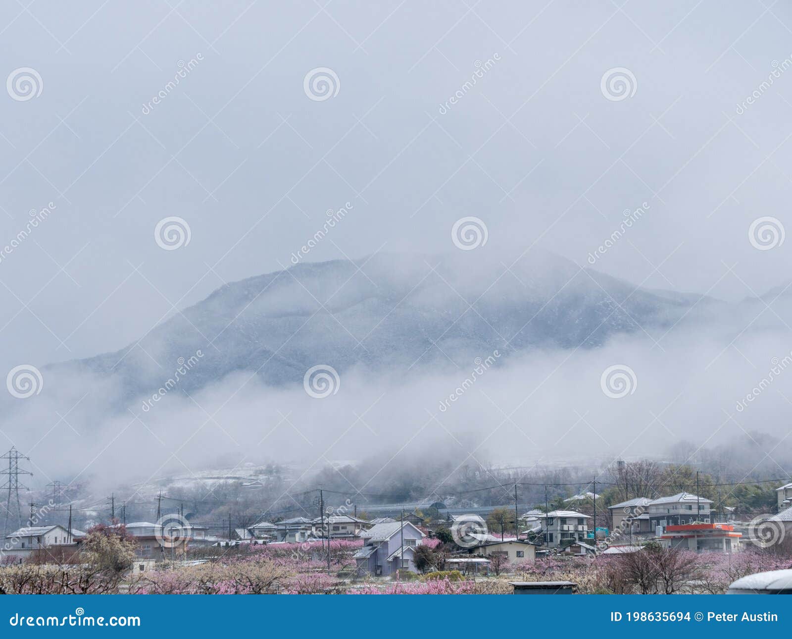 Frosty Scenery in the Japanese Countryside in Winter Stock Photo ...