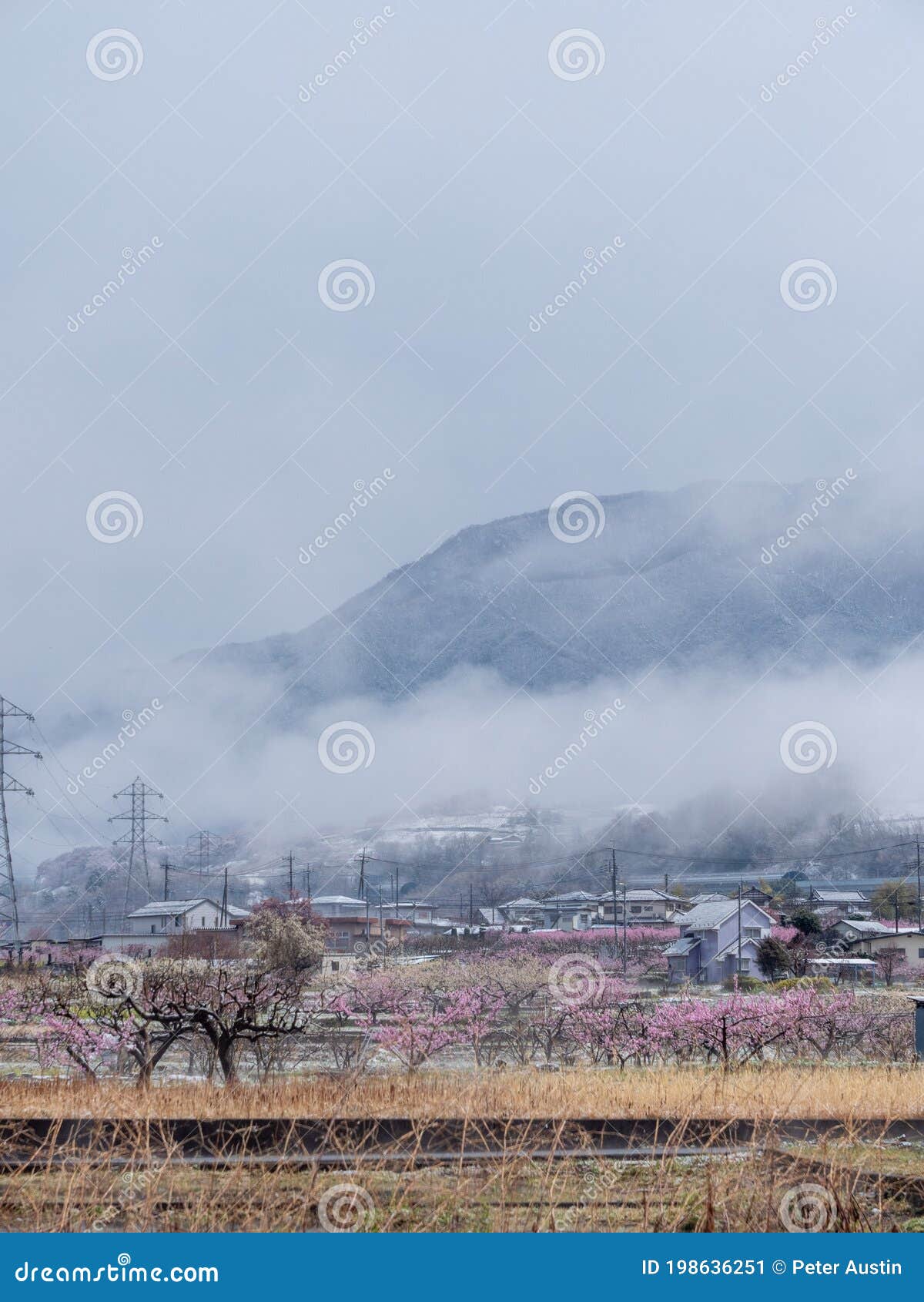 Frosty Scenery in the Japanese Countryside in Winter Stock Image ...