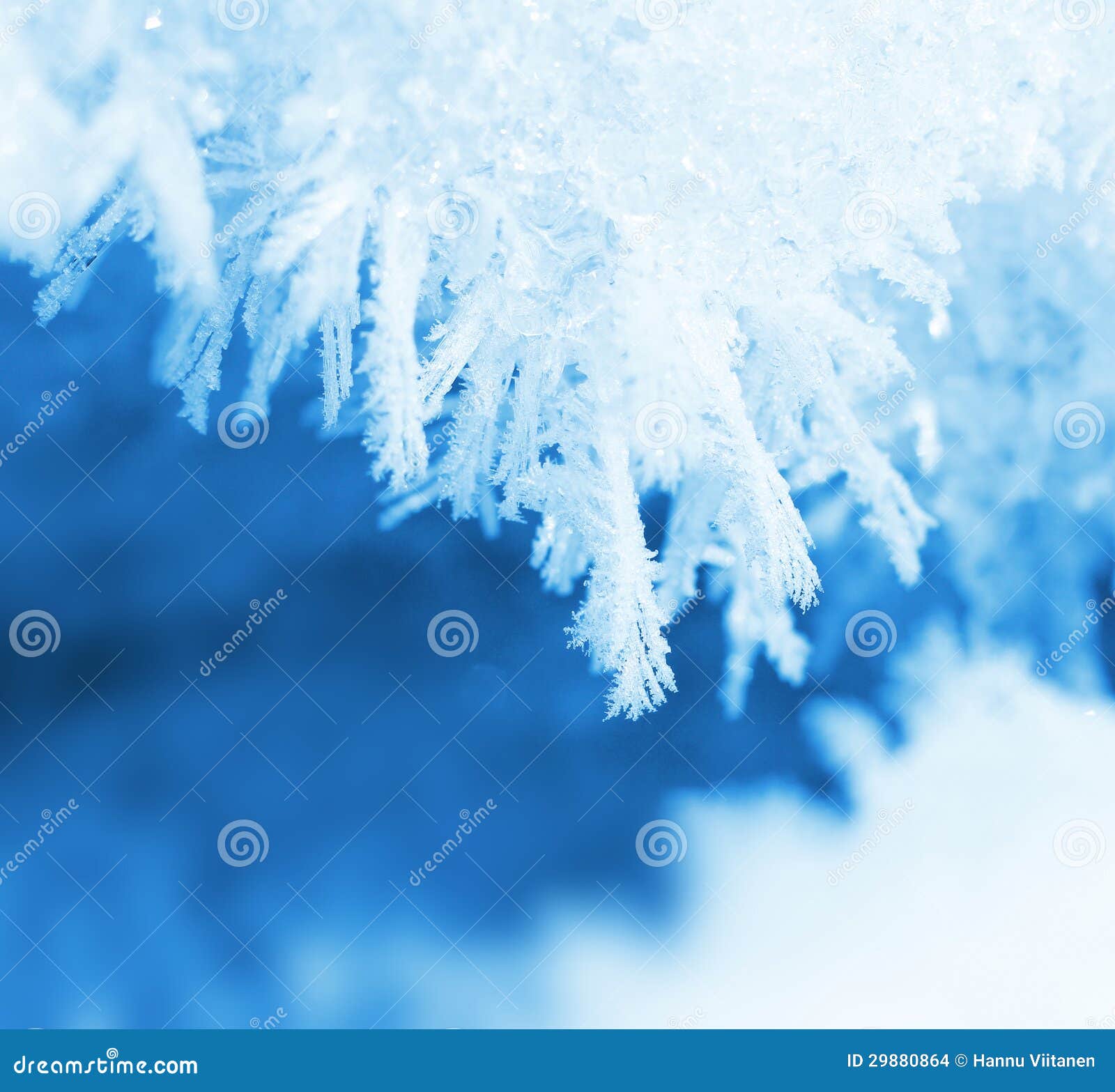 Frosty snow closeup macro stock photo. Image of flake - 29880864