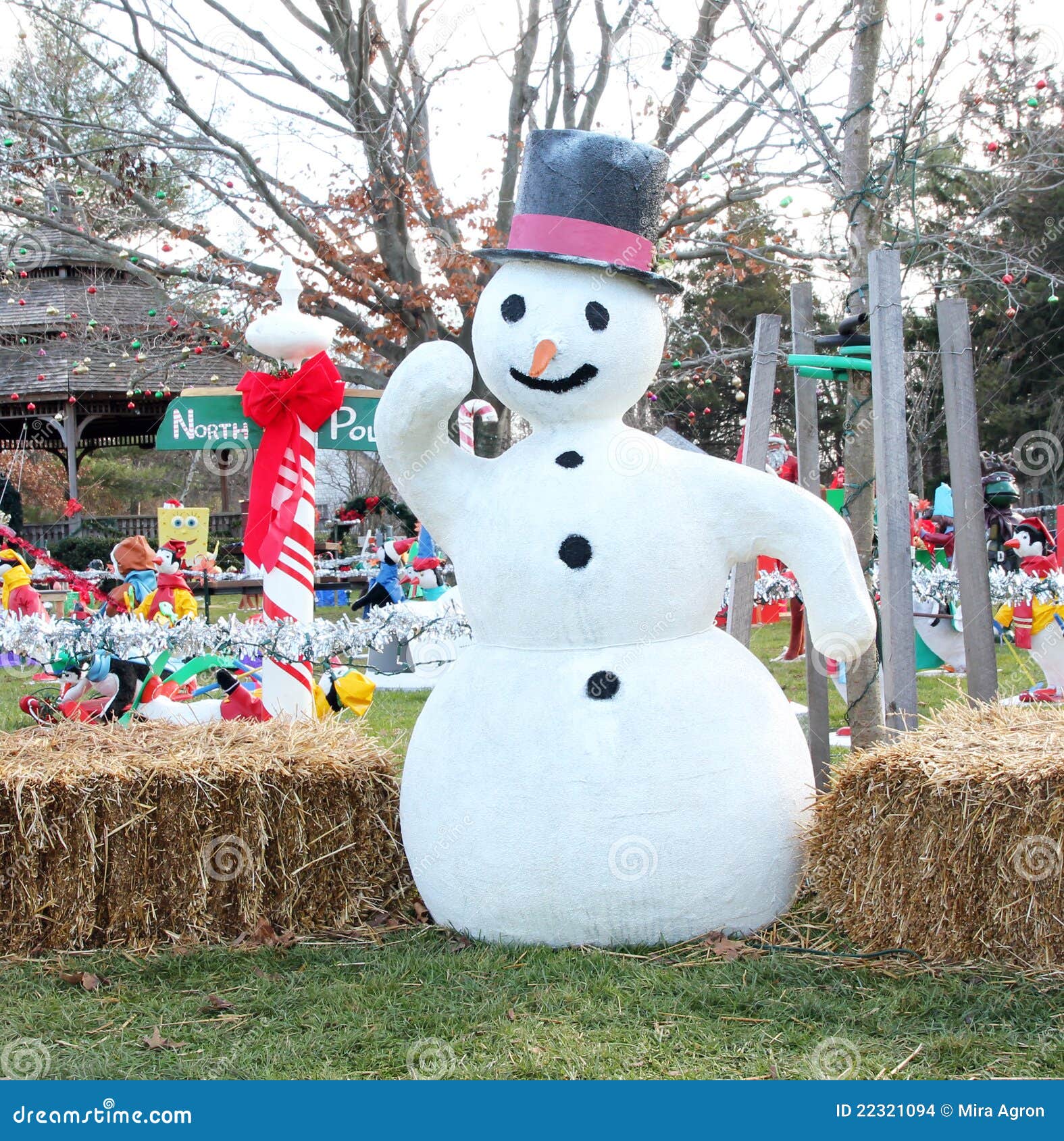 Frosty the Snow Man stock photo. Image of holiday, frosty - 22321094