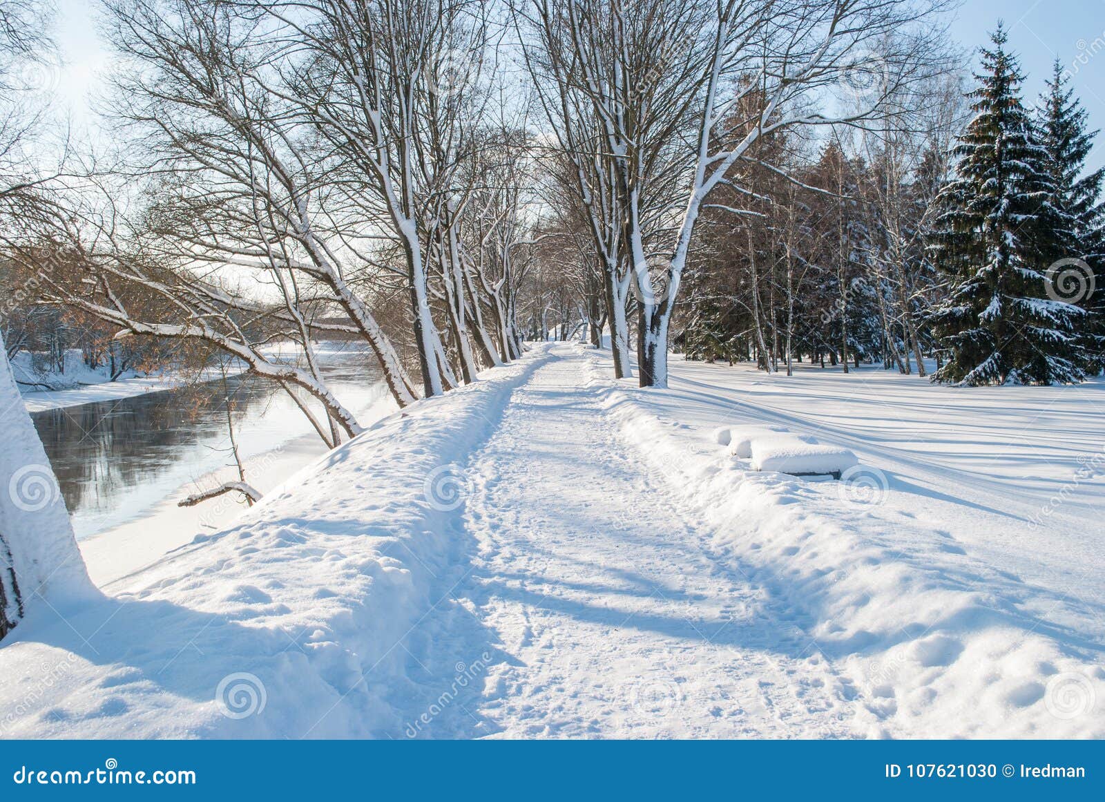 Frosty snowy day stock photo. Image of snowy, nature - 107621030